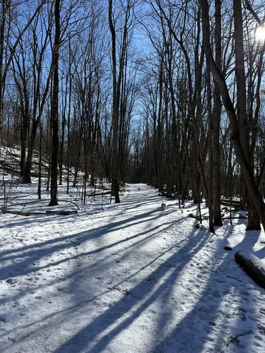 Best Hikes and Trails in Indian Brook Park | AllTrails