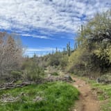 Spur Cross Dragonfly Loop, Arizona - 1,811 Reviews, Map | AllTrails