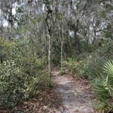 Daubenmire Trail, Florida - 599 Reviews, Map | AllTrails