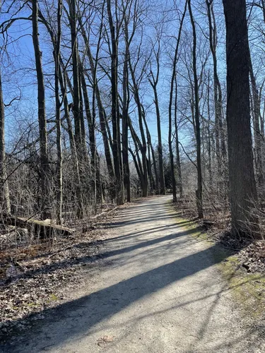 Best Hikes and Trails in Pearson Metro Park | AllTrails