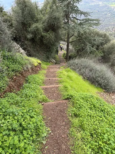 Best Hikes and Trails in Pyrga | AllTrails