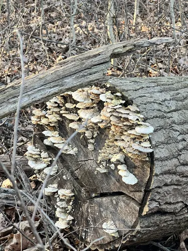 Best Hikes and Trails in Orwell State Wildlife Area | AllTrails