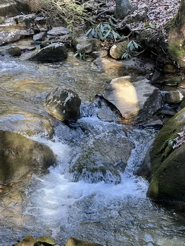 Best Hikes and Trails in Chestnut Ridge Park | AllTrails