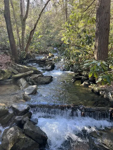 Best Hikes and Trails in Chestnut Ridge Park | AllTrails