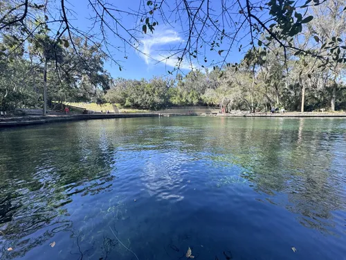 Best Walking Trails in Wekiwa Springs State Park | AllTrails