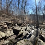 High Rocks, Pennsylvania - 2,808 Reviews, Map | AllTrails