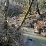 Tryon Creek Triple Bridge Loop, Oregon - 1,441 Reviews, Map | AllTrails