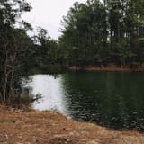 Wannamaker County Park Loop, South Carolina - 227 Reviews, Map | AllTrails