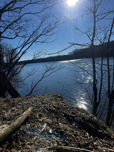 Best Forest Trails in Mogadore | AllTrails