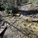 Oak Cliff Full Loop, Texas - 707 Reviews, Map | AllTrails