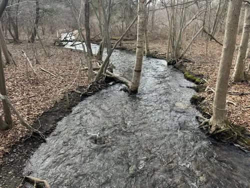 Best Walking Trails in Lime Hollow Nature Center | AllTrails