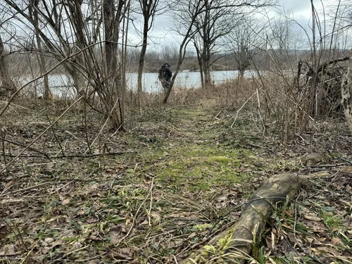 Best Walking Trails in Lime Hollow Nature Center | AllTrails