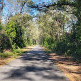 Nature Coast State Trail, Florida - 123 Reviews, Map | AllTrails