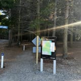 Bottle Lake Forest Blue Track, Canterbury, New Zealand - 245 Reviews ...