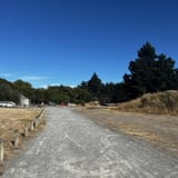 Bottle Lake Forest Blue Track, Canterbury, New Zealand - 324 Reviews ...