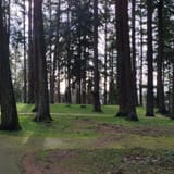 Spanaway Lake Trail, Washington - 231 Reviews, Map | AllTrails