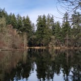 Spanaway Lake Trail, Washington - 231 Reviews, Map | AllTrails