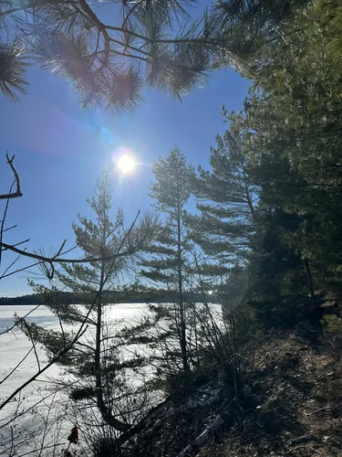 Best Hikes and Trails in Plum Lake Hemlock Forest State Natural Area ...