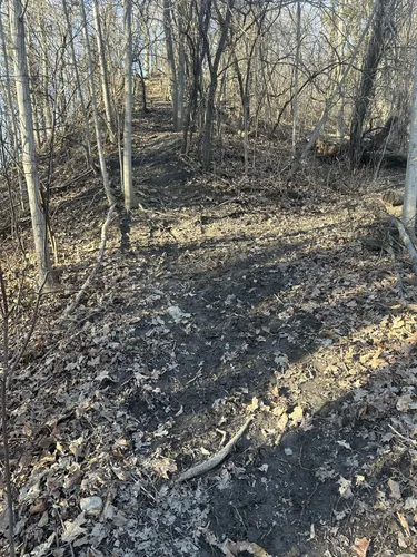 Best Hikes and Trails in Hinder Area | AllTrails