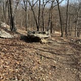 White Bison Loop, Missouri - 2,188 Reviews, Map | AllTrails