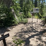 Alpine Pond Trail, Utah - 667 Reviews, Map | AllTrails