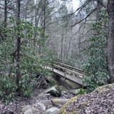 Cumberland Trail: Devil's Breakfast Table, Tennessee - 164 Reviews, Map ...