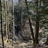 Sprague Brook Park Trail, New York - 1,290 Reviews, Map | AllTrails