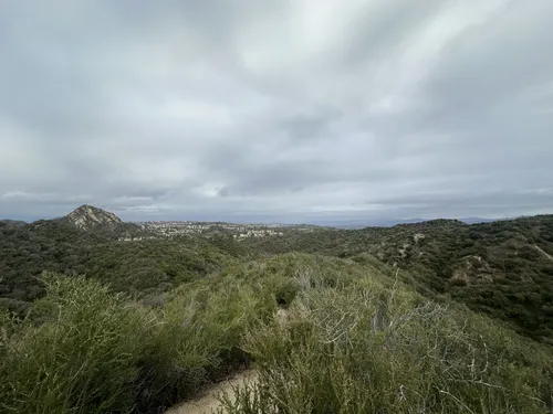 Best Hikes and Trails in Pico Canyon Park | AllTrails