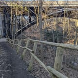 Moore Park Ravine Trail, Ontario, Canada - 1,270 Reviews, Map | AllTrails