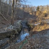 Moore Park Ravine Trail, Ontario, Canada - 1,270 Reviews, Map | AllTrails