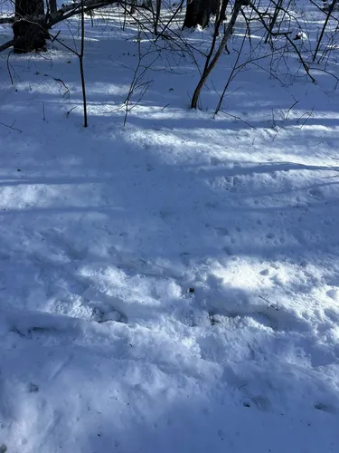 Best Hikes and Trails in Distant Hill Nature Trail | AllTrails