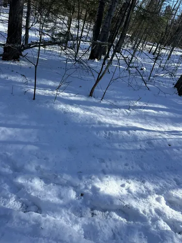 Best Hikes and Trails in Distant Hill Nature Trail | AllTrails
