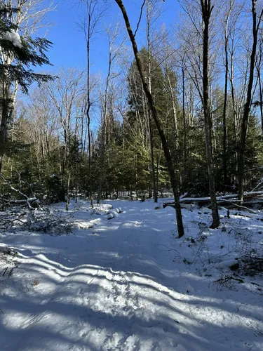 Best Hikes and Trails in Distant Hill Nature Trail | AllTrails