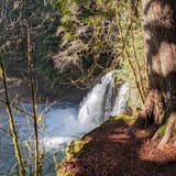 Kalama Falls Trail, Washington - 530 Reviews, Map | AllTrails