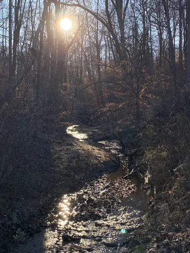 Best Hikes and Trails in Fredericksburg Quarry | AllTrails