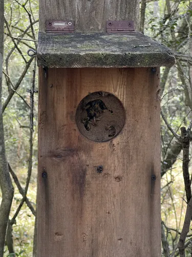 Best Hikes and Trails in Addicks Reservoir | AllTrails