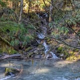 Kalama Falls Trail, Washington - 530 Reviews, Map | AllTrails