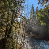 Kalama Falls Trail, Washington - 530 Reviews, Map | AllTrails