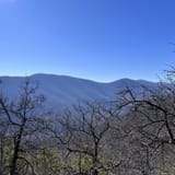 Signal Knob Loop Trail, Virginia - 1,021 Reviews, Map | AllTrails