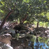 Palo Maria Waterfall, Jalisco, Mexico - 455 Reviews, Map | AllTrails