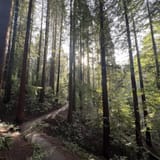 Washington Park Loop, Oregon - 1,549 Reviews, Map | AllTrails