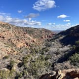 Haynes Ridge and Upper North Prong Trail Loop, Texas - 881 Reviews, Map ...