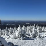 Mount Cardigan Loop Trail, New Hampshire - 1,937 Reviews, Map | AllTrails