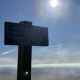 Cable Line Trail to West Tiger #3, Washington - 2,074 Reviews, Map ...