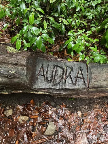 Best Hikes and Trails in Audra State Park | AllTrails