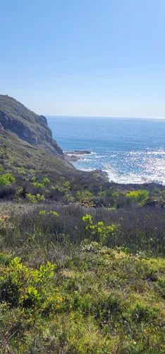 Best Hikes and Trails in Crowdy Bay National Park | AllTrails