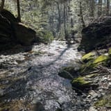 Kelly's Run Loop Trail, Pennsylvania - 3,201 Reviews, Map | AllTrails