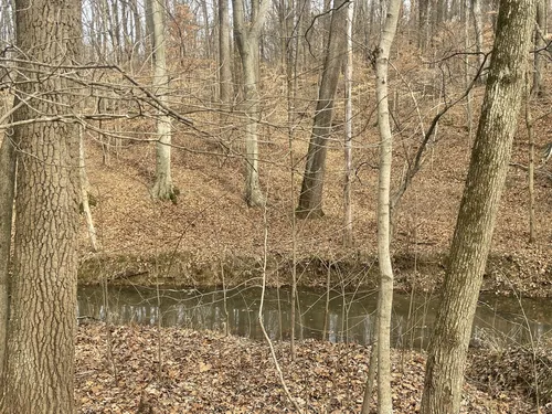 Best Hikes and Trails in Vincennes | AllTrails