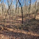 Avonworth Community Park Loop, Pennsylvania - 107 Reviews, Map | AllTrails