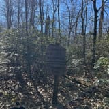 Hanging Rock, Virginia - 1,112 Reviews, Map | AllTrails
